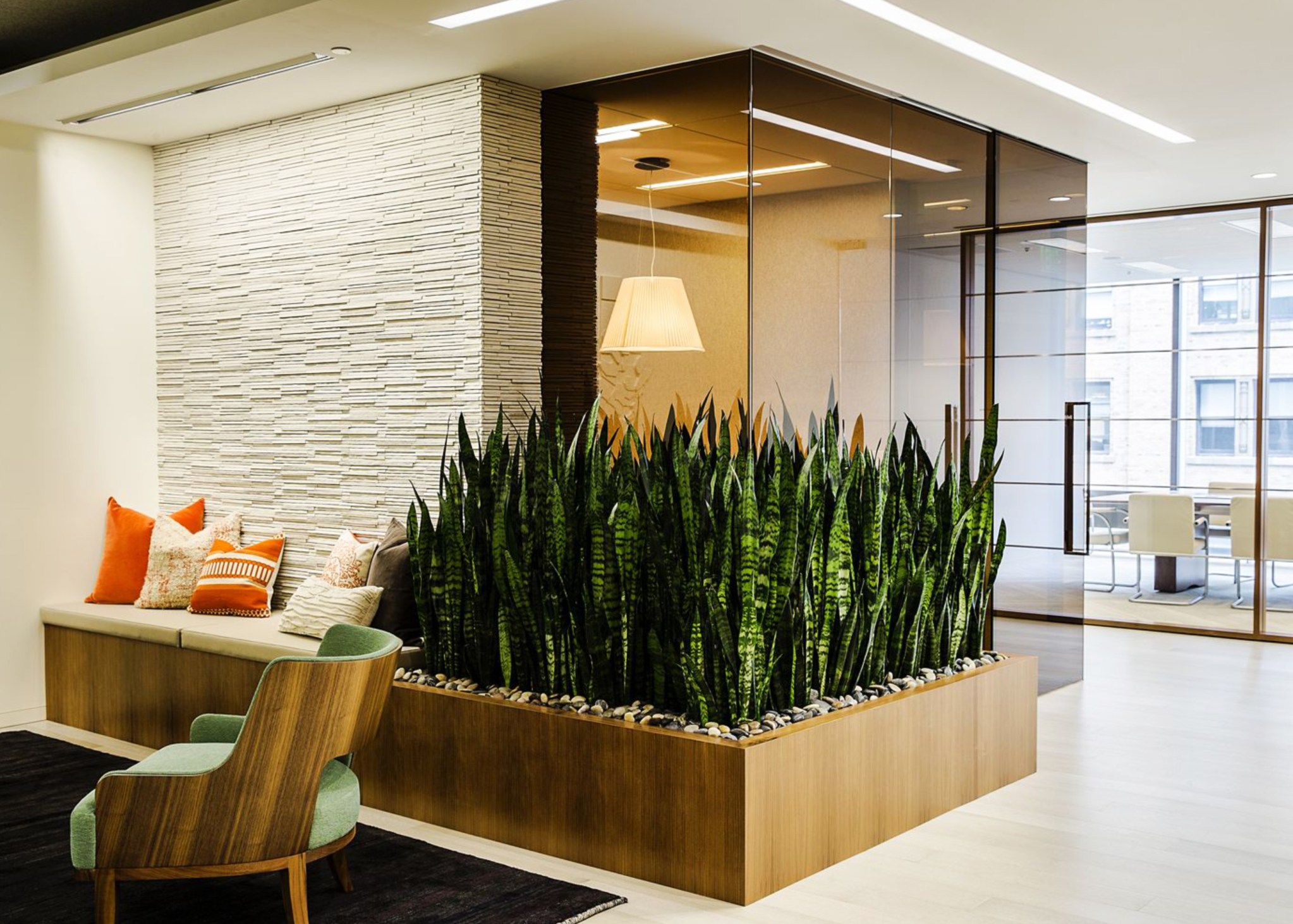 Best Indoor Plants For Your Office – Interior Era
