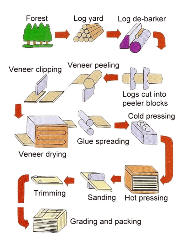 Everything You Need to Know About Plywood – Interior Era